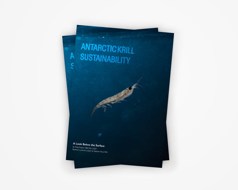 Five Fun Facts about Krill