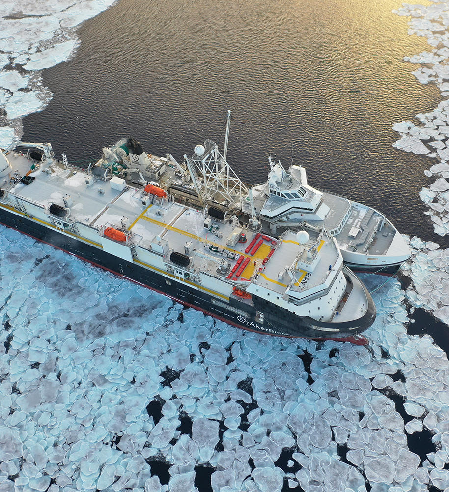 Sustainable Krill Harvesting: Setting a Global Standard for Ocean Fisheries