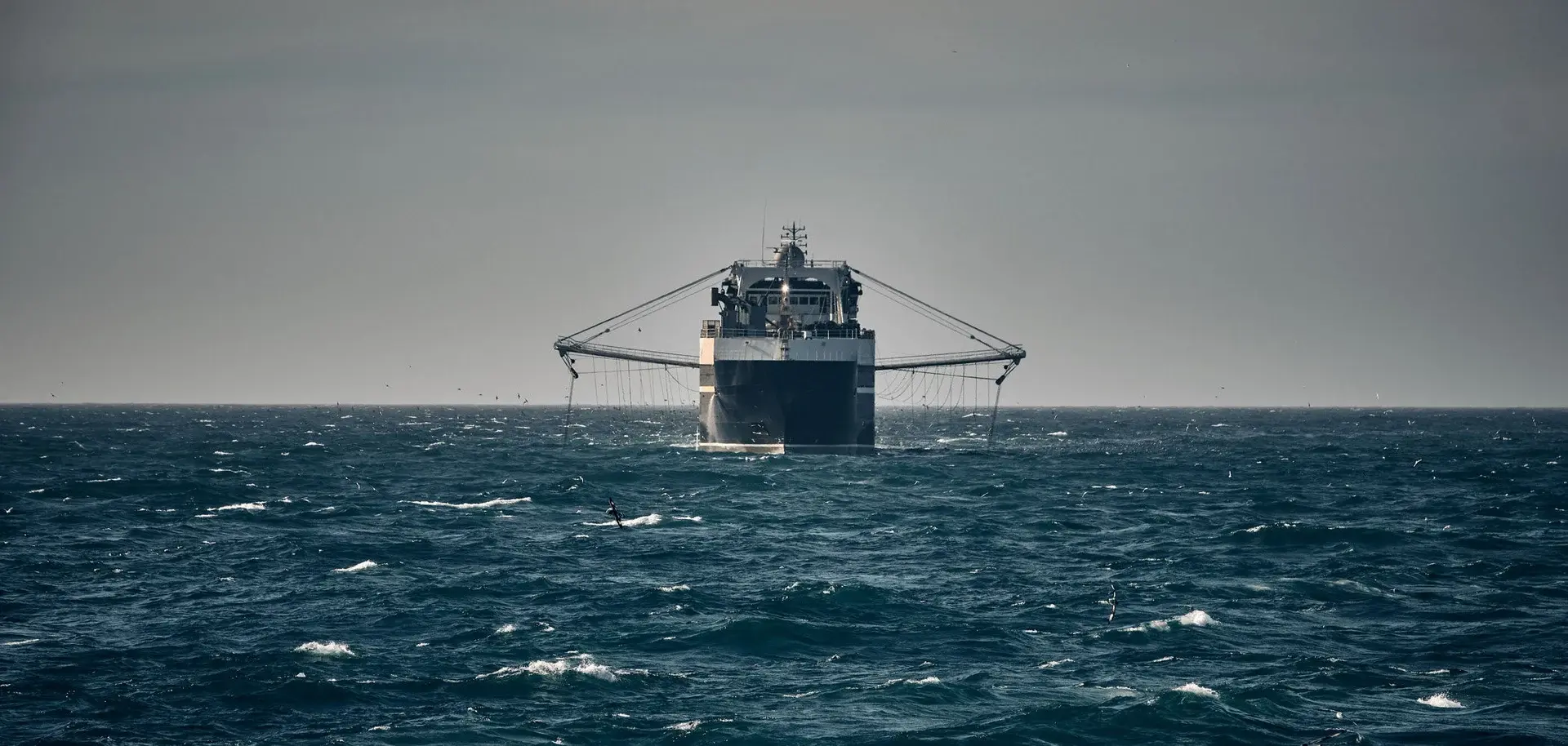 From fishing to feed: The sustainability of krill