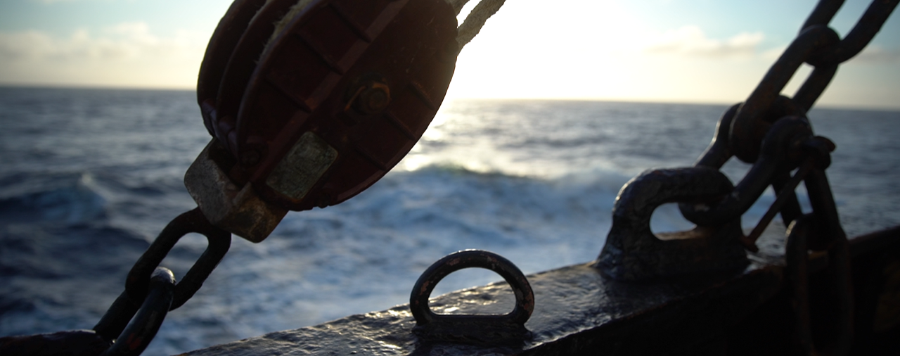 Why we trust the Blue MSC label