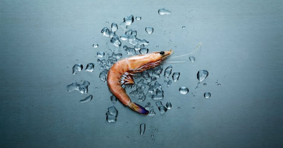 Krill, a Natural and Functional Feed Attractant in Shrimp Feed