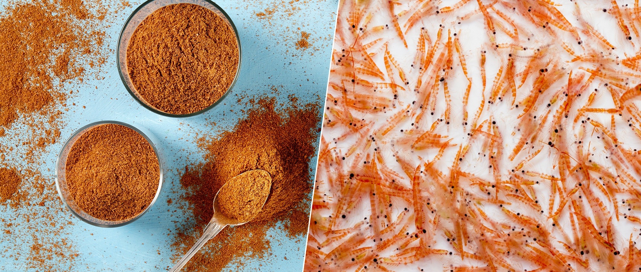 Qrill Aqua resources