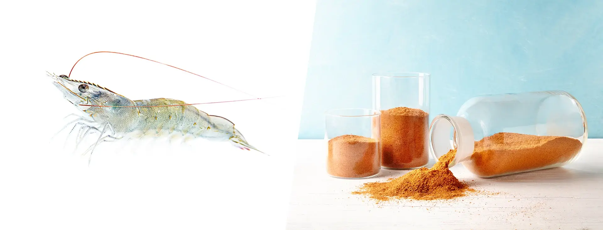7 Reasons to Include Krill in Shrimp Feed